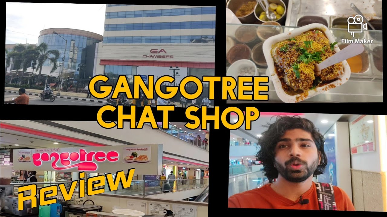 Gangotree chats review | Best chat shop in chennai | Chennai street ...