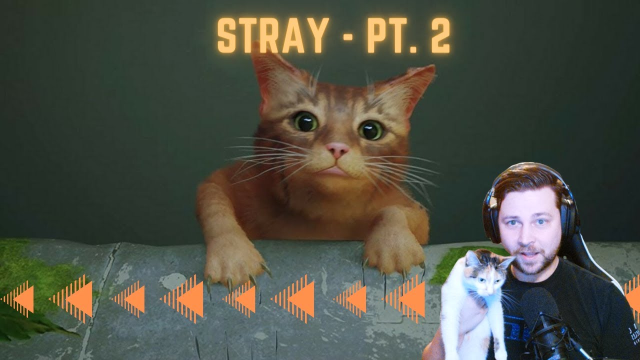 Helping Momo & running from Zurks -STRAY Pt. 2 - YouTube