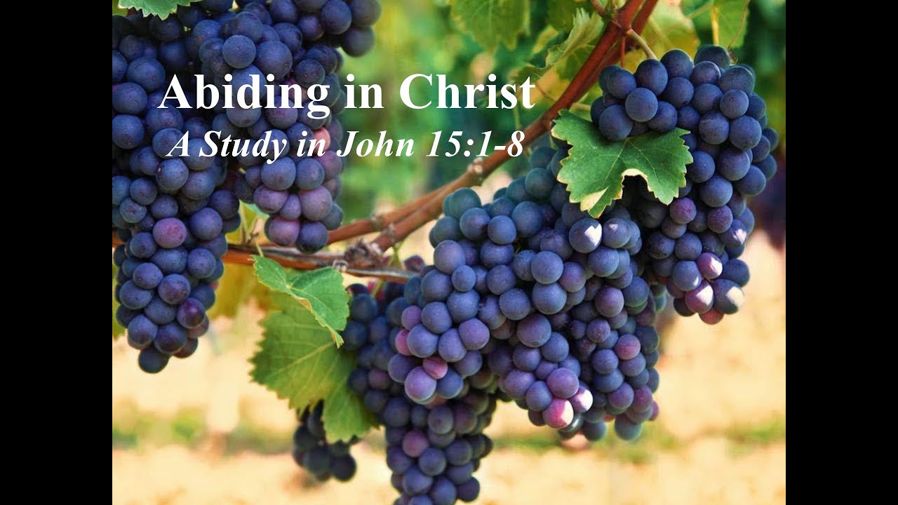 Abiding in Christ John 15:1-8 (Part 1) - YouTube