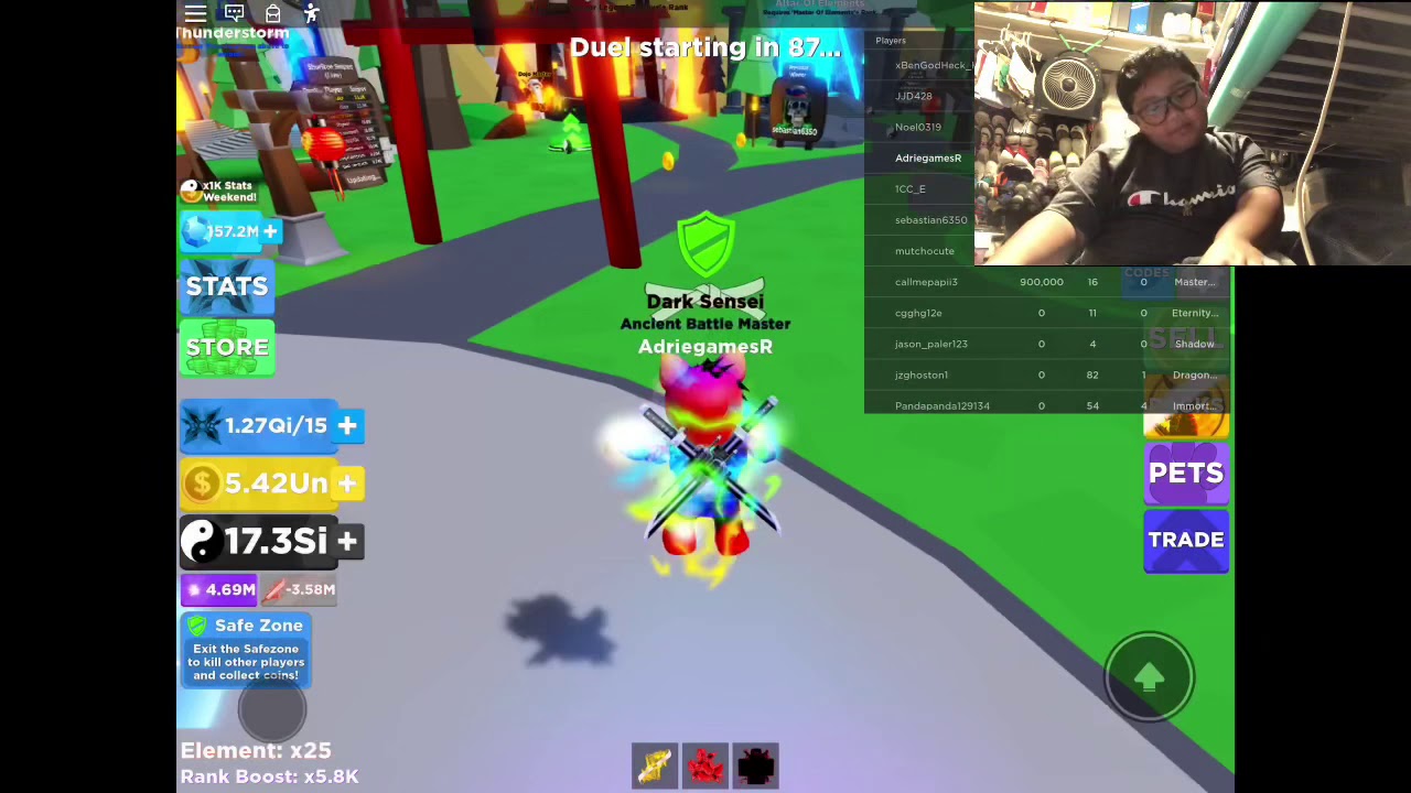 Having 4 ELEMENTS In NINJA LEGENDS YouTube Having 4 ELEMENTS In NINJA LEGENDS YouTube