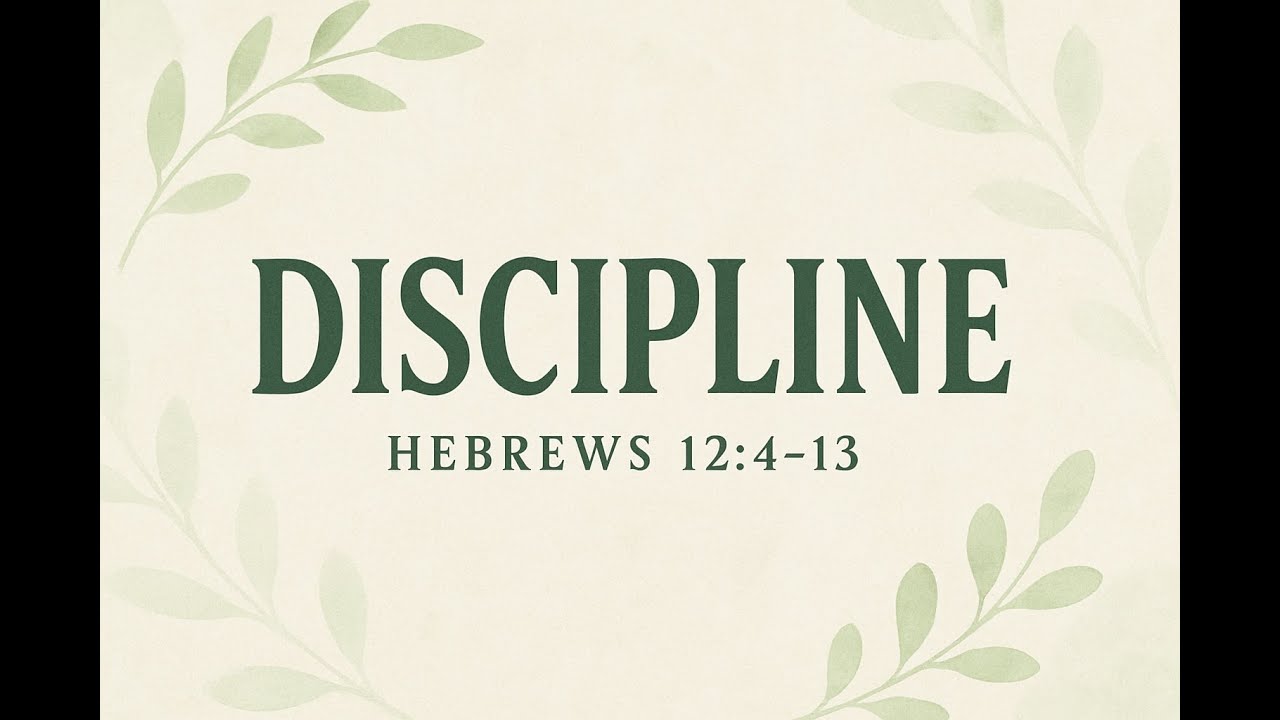 Discipline continue part 2 | Lance Lecocq - YouTube