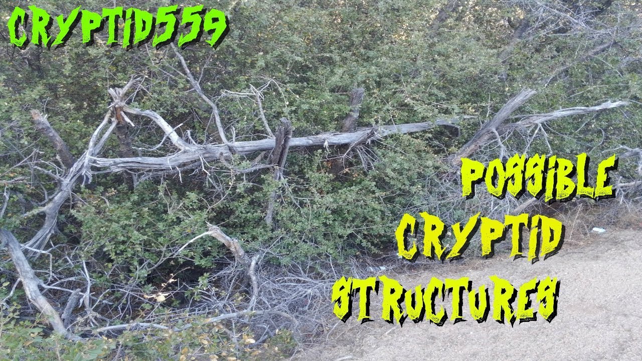 Possible Cryptid Structures! - YouTube