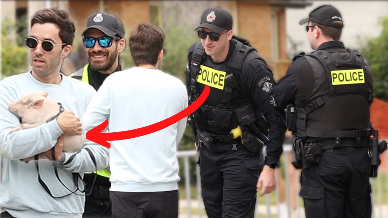 Calling Police Pigs to there face then showing up with a real pig😂 ...