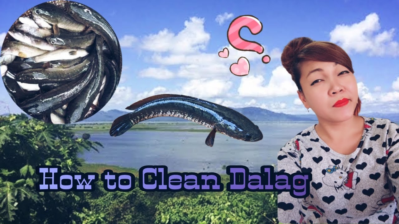 HOW TO CLEAN DALAG FISH (NEOCHANNA) STEP BY STEP WITH MATCHING KABA ...