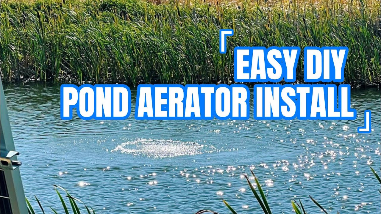 DIY Pond Aerator Install: Easy Steps for a Healthy Pond - YouTube