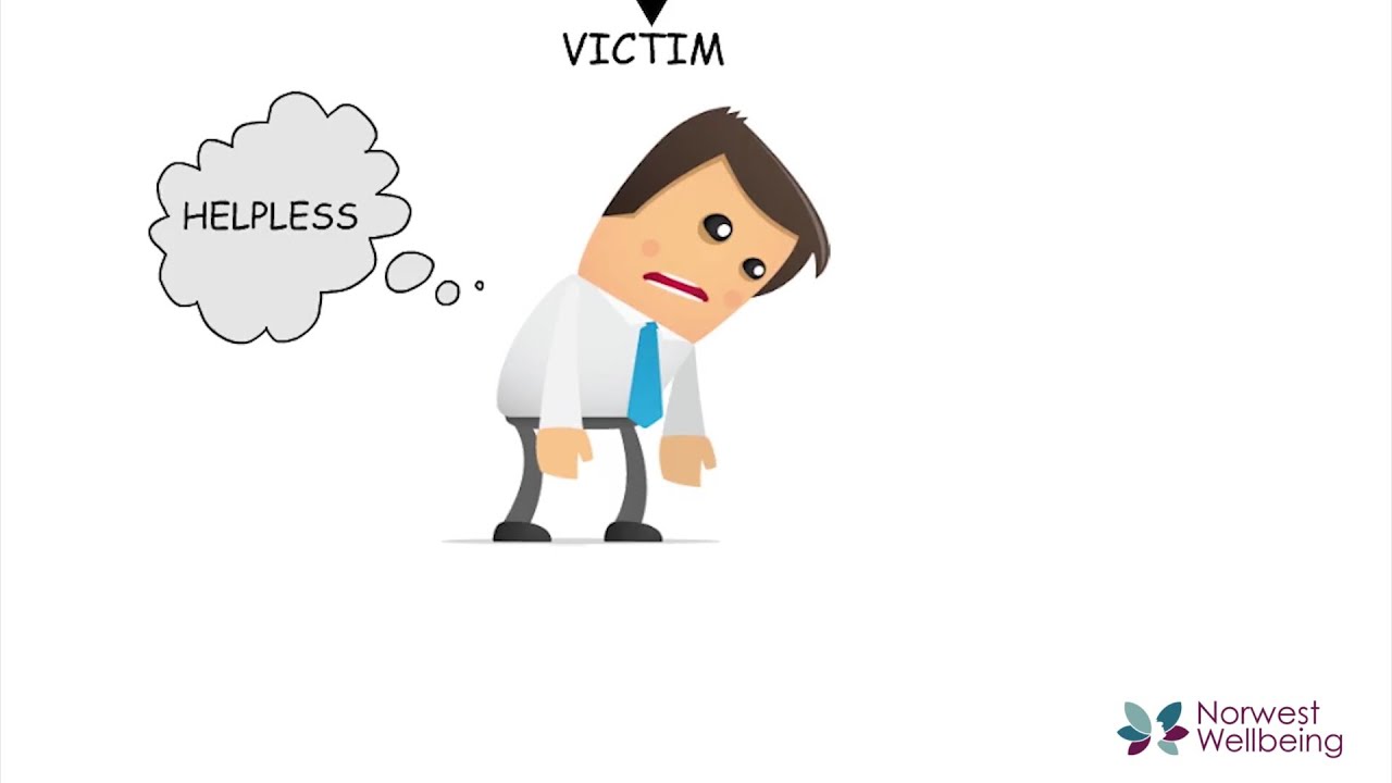 The Drama Cycle - YouTube