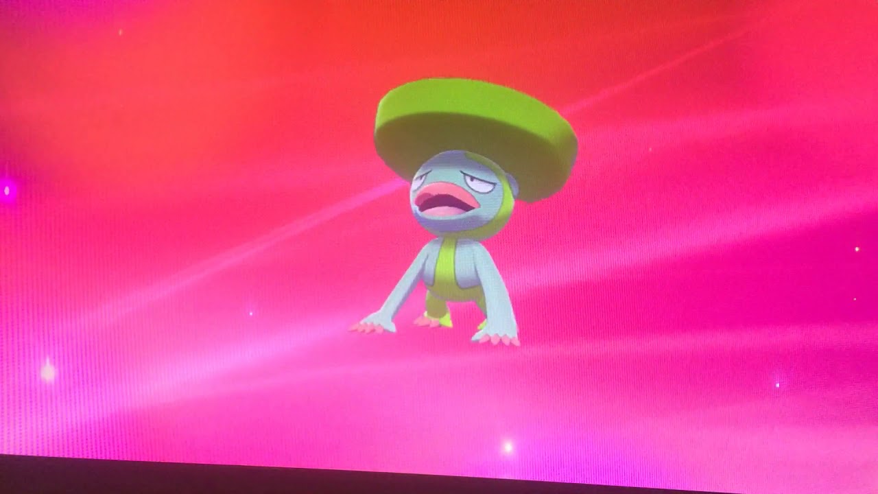 Lotad evolution Pokemon sword and shield - YouTube