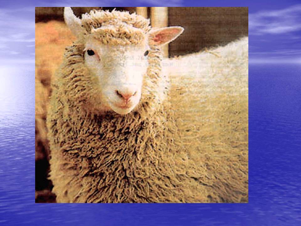 Cloning What is it - YouTube