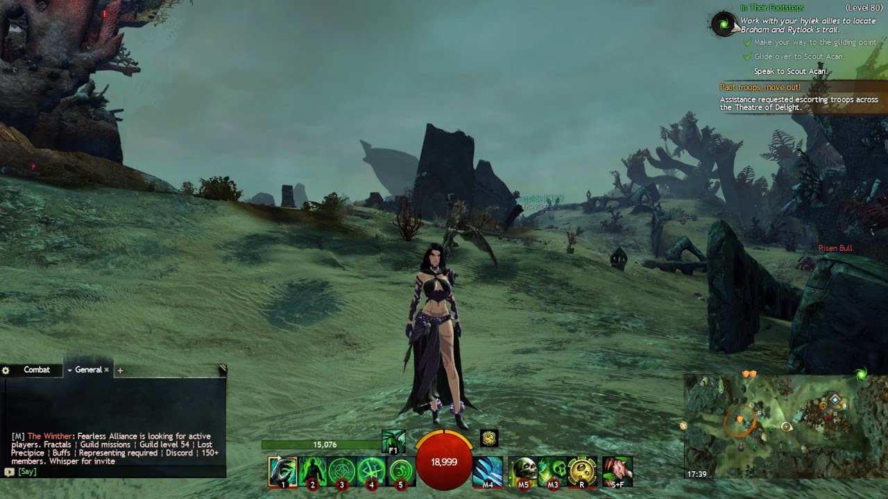 GW2 Reaper Character - YouTube