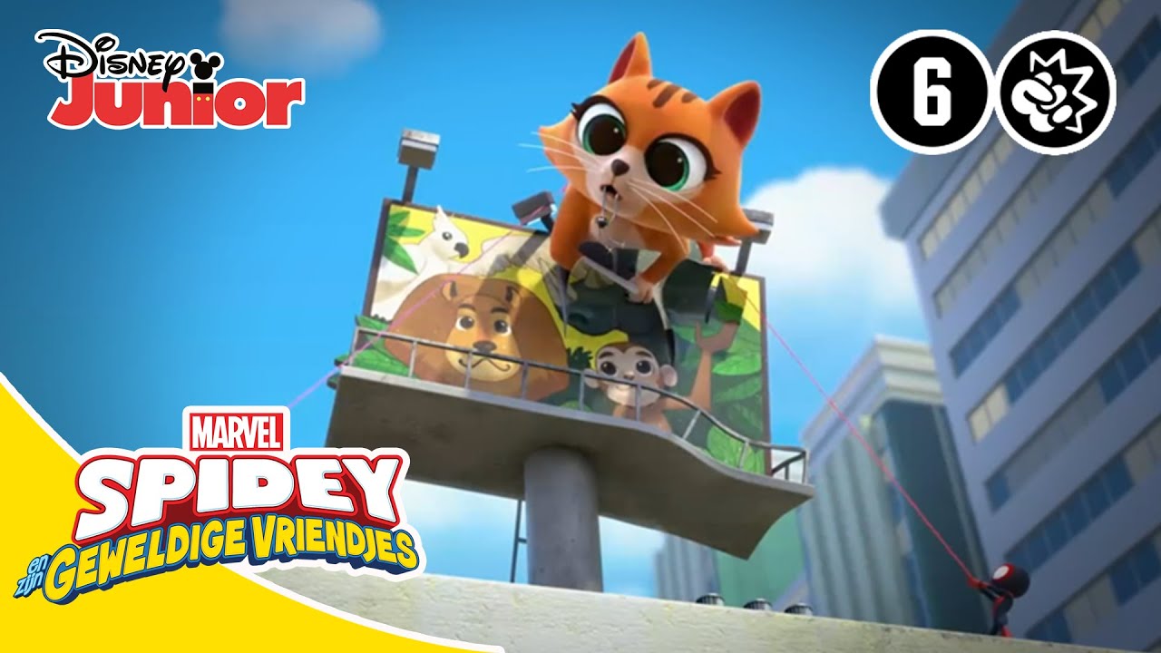 🐱 Reuze Kat | Spidey | Disney Junior BE - YouTube