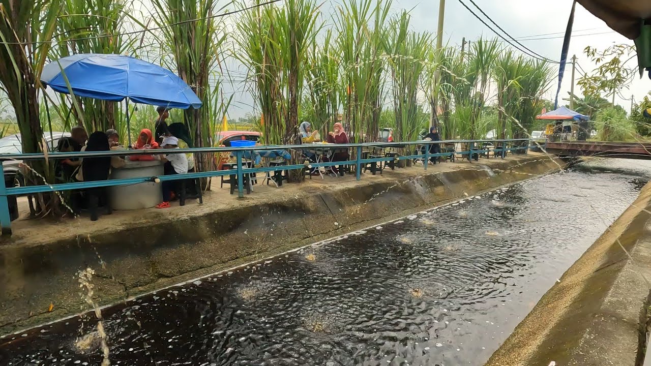 Menikmati air tebu di Laman Tebu Aidil & Orkid || Enjoying sugarcane ...