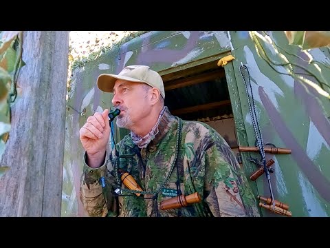 Duck Hunting.  Opening Day.  Waikato, New Zealand.
