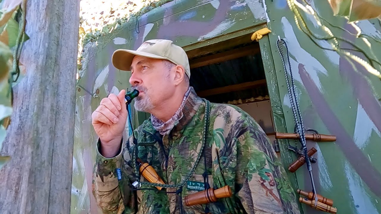 Duck Hunting. Opening Day. Waikato, New Zealand. - YouTube