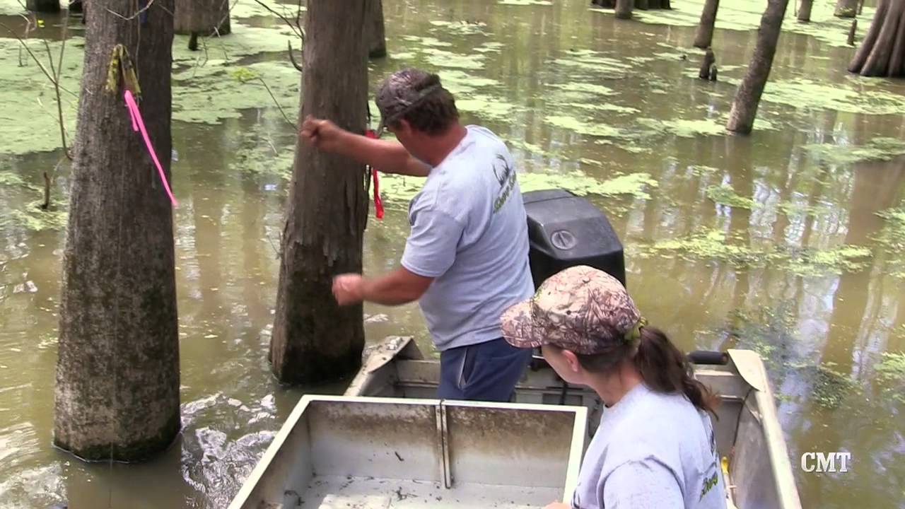 Swamp Pawn : Season 2 : Preview - YouTube