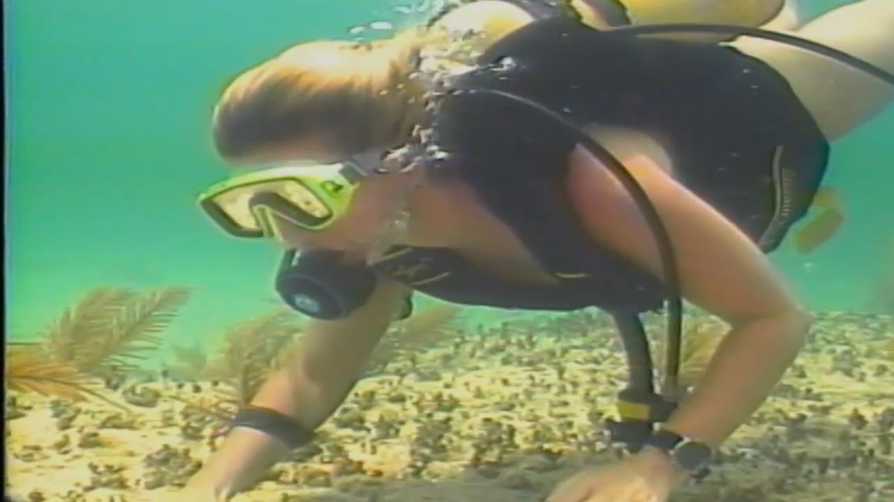 Women Scuba Diving and Snorkeling in Bimini 1990s - YouTube