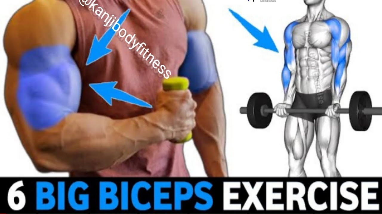 biceps workout | 6 Best Biceps Pump Workout At Gym | triceps Best ...