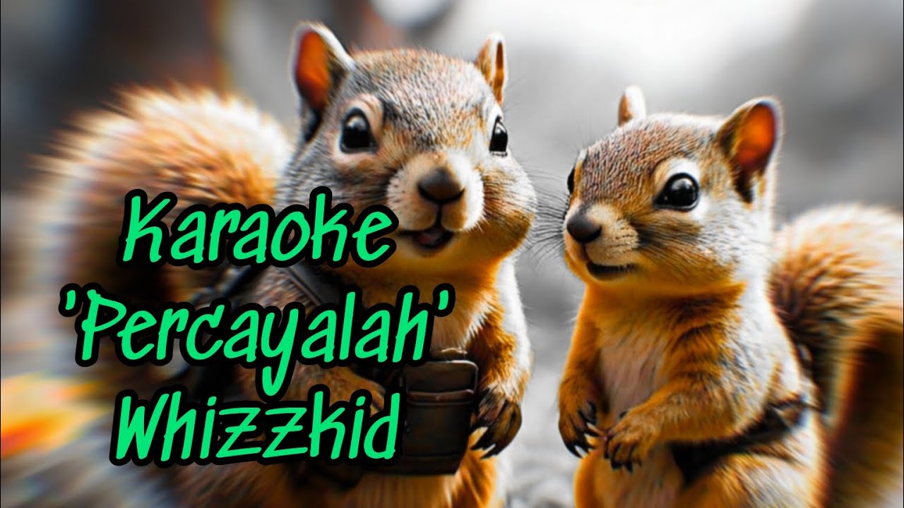 karaoke Percayalah by Whizzkid - YouTube