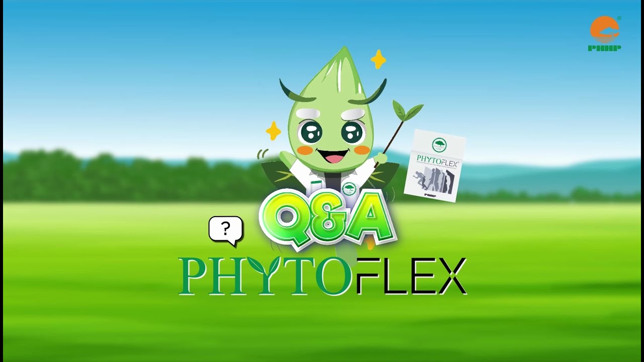 PhytoFairy QnA 草本精灵问与答 - PhytoFlex 長春护捷灵 - YouTube