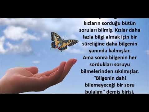 AVUCUNUZDAKİ KELEBEK