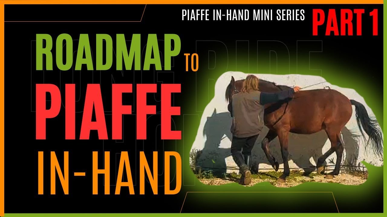 An Easy Roadmap to Piaffe — Part 1: Soft Jaw, Soft Poll & Yielding ...