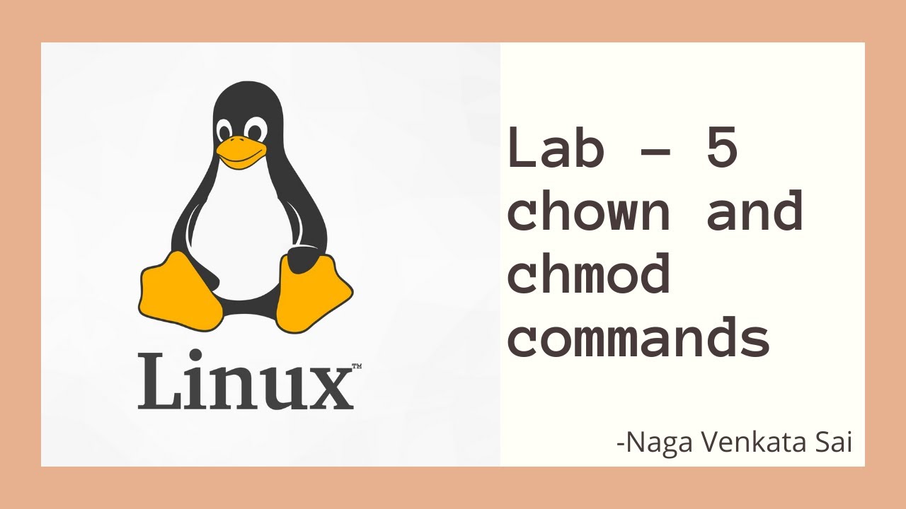 Lab - 5 || chown chmod Commands || Linux || Operating Systems - YouTube