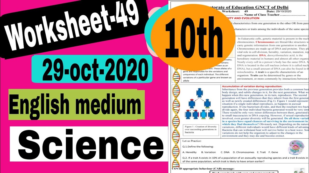 SCIENCE Class -10th SOLVED WORKSHEET-49 DATE - 29-10-2020 TOPIC ...