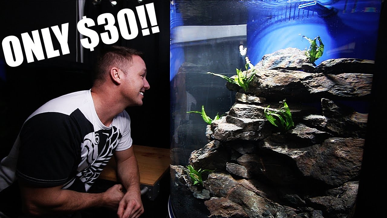 CHEAP AND EASY AQUARIUM SETUP! - the king of DIY - YouTube