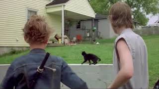 Gummo Cat Scene