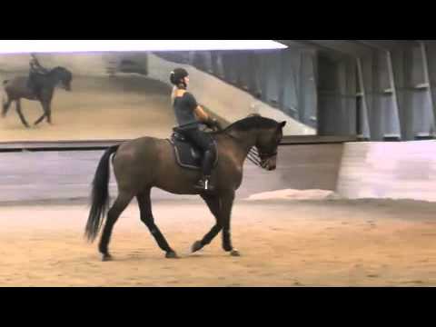 Kathrine springborg YR kür - YouTube