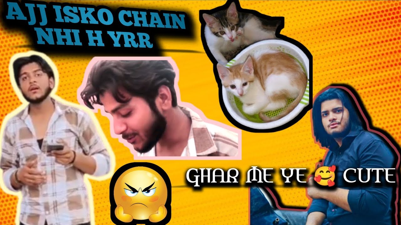 GHAR AI EK OR CAT 🐈 || AJJ HM GAYA BAR BAR GHUMNE 😂||#youtube #video # ...