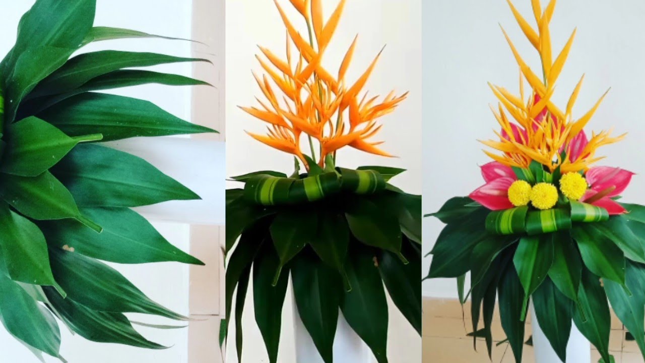 Cara Merangkai Bunga Pisang-Pisang (Heliconia) - YouTube