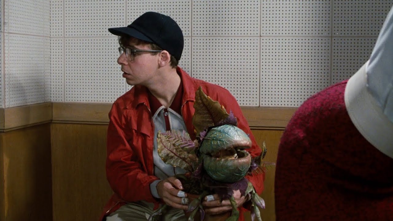 Seymour Little Shop Of Horrors