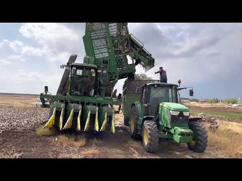 Pamuk hasad zamanı - John deere 9970 pamuk toplama makinesi