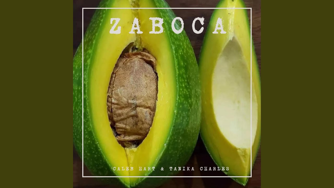Zaboca - YouTube