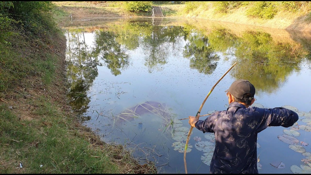 Catch Field snails and Fishing, Cooking In The Bamboo Pipe - YouTube
