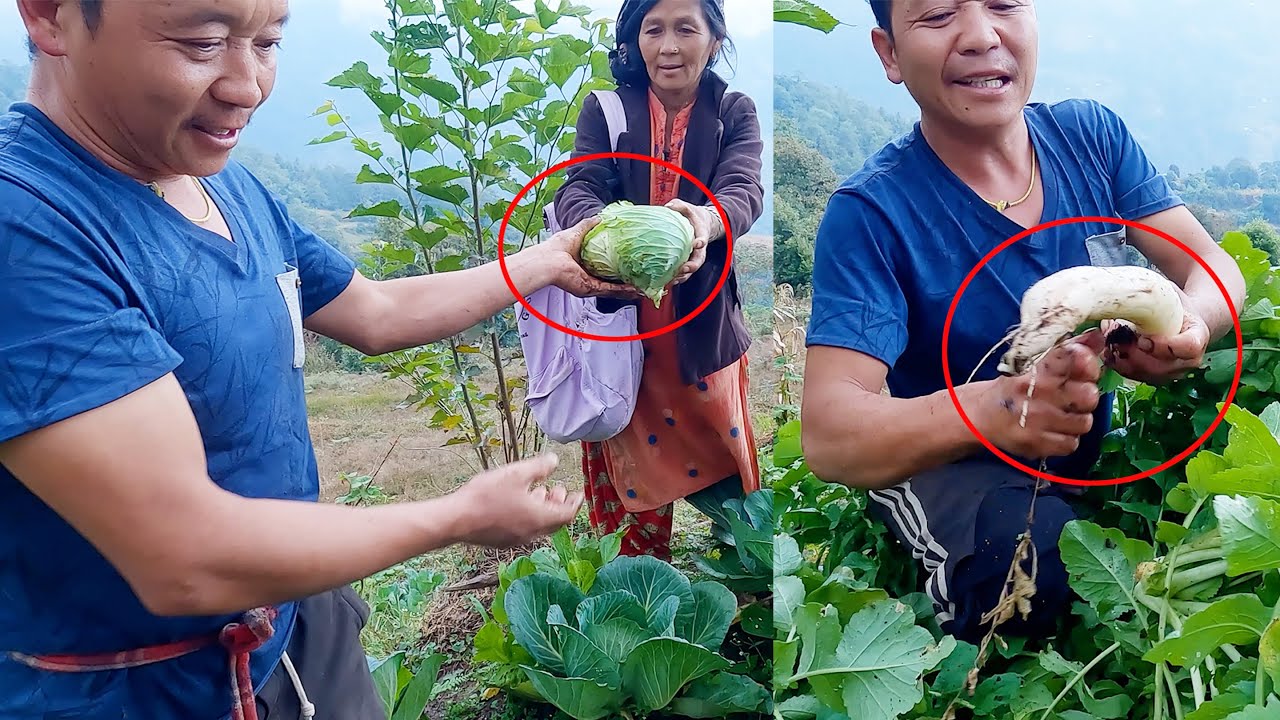 giving vegetable gifts to village sister in law || bhumi village vlogs ...