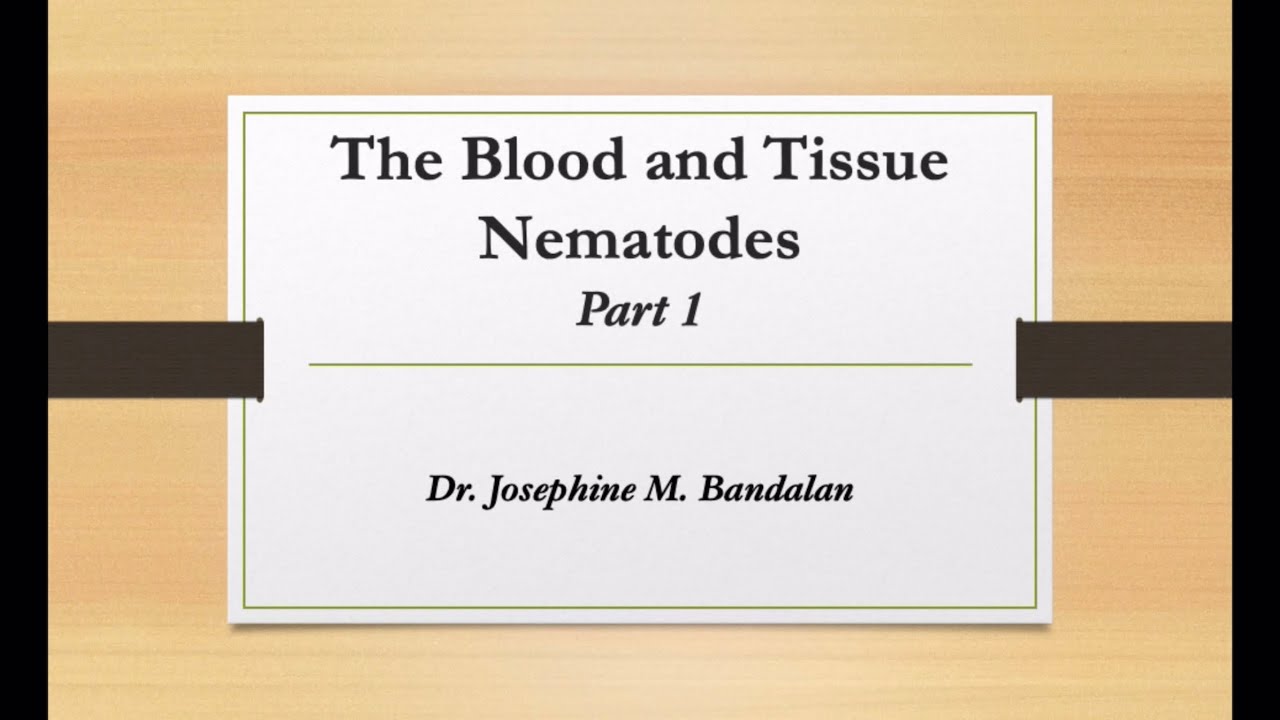The Blood and Tissue Nematodes 1 - Dr. Bandalan - YouTube