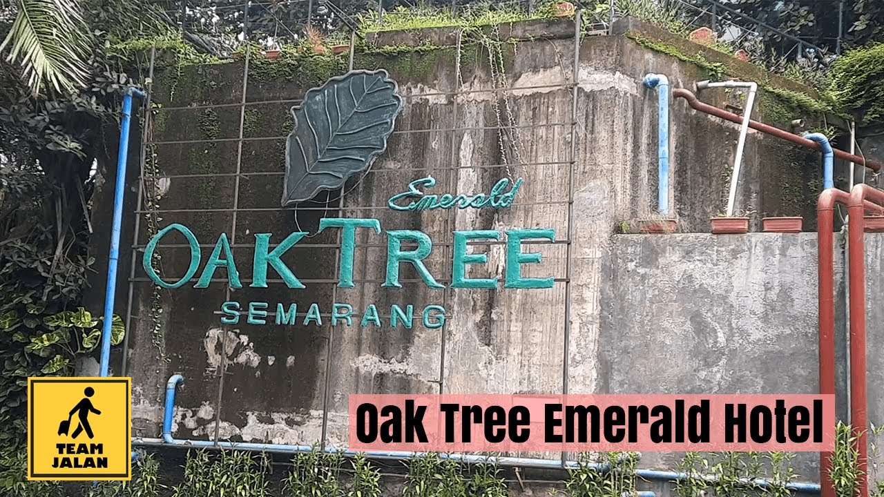 Oak Tree Emerald Semarang - YouTube
