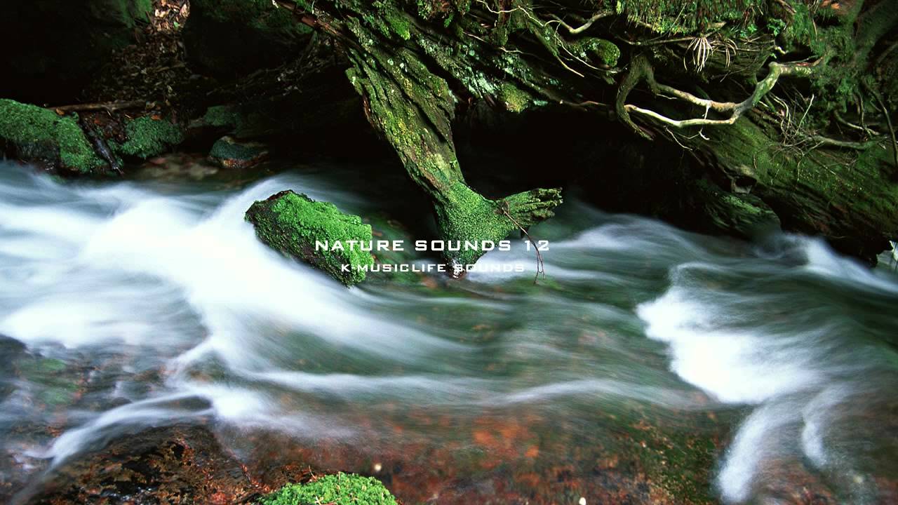 Nature Sound 12 - THE MOST RELAXING SOUNDS - - YouTube