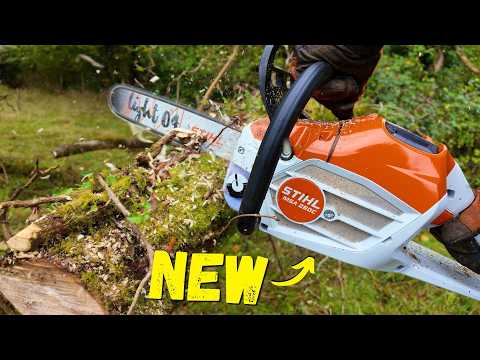 NEW STIHL MSA 260 C-O Pro Chainsaw - EXCLUSIVE First Look! 👀