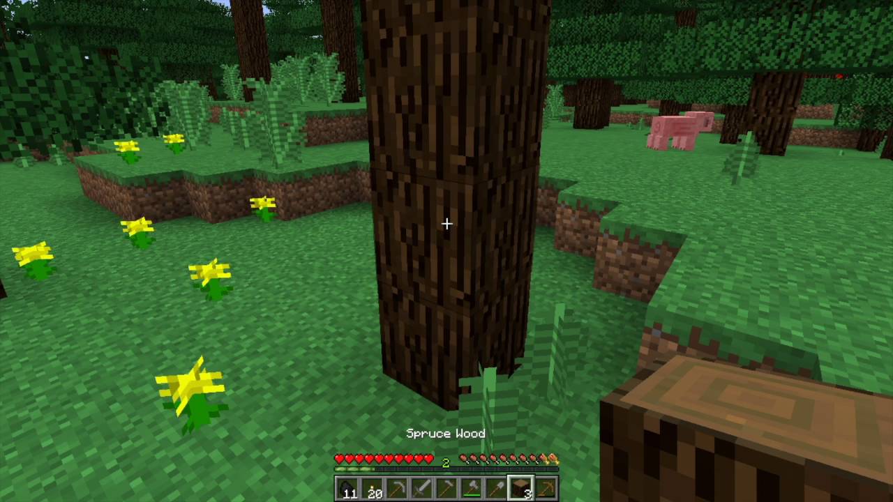 Minecraft - Proton - #1: Getting Started - YouTube