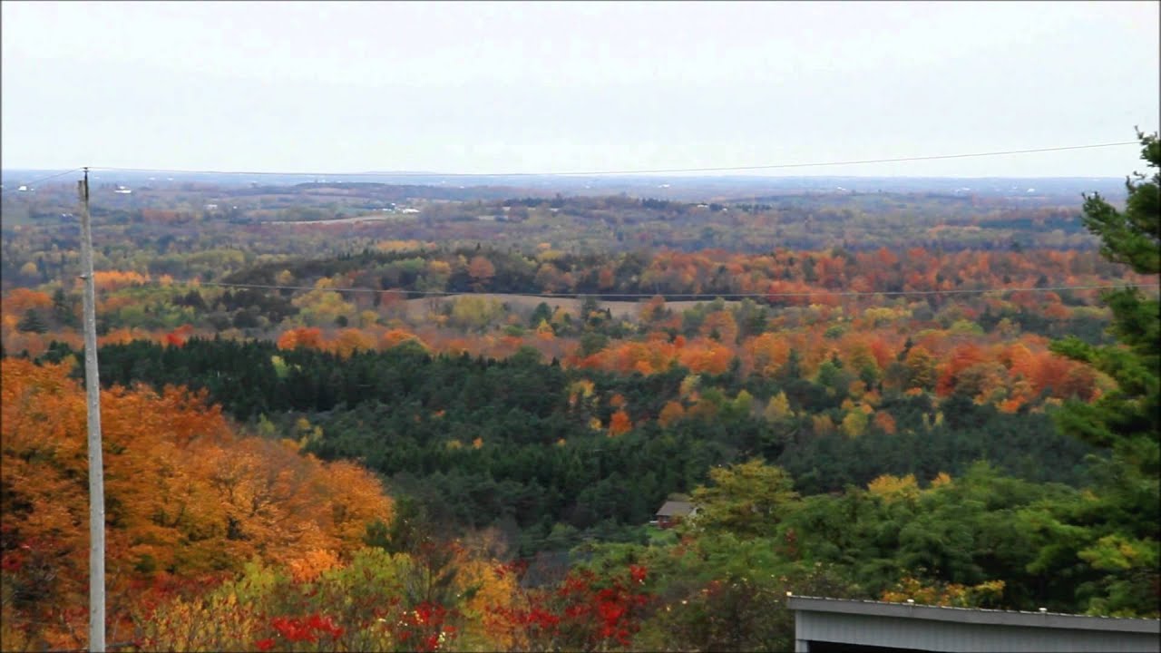 Hill Top Horse Farm (Cavan Ontario Canada) - YouTube