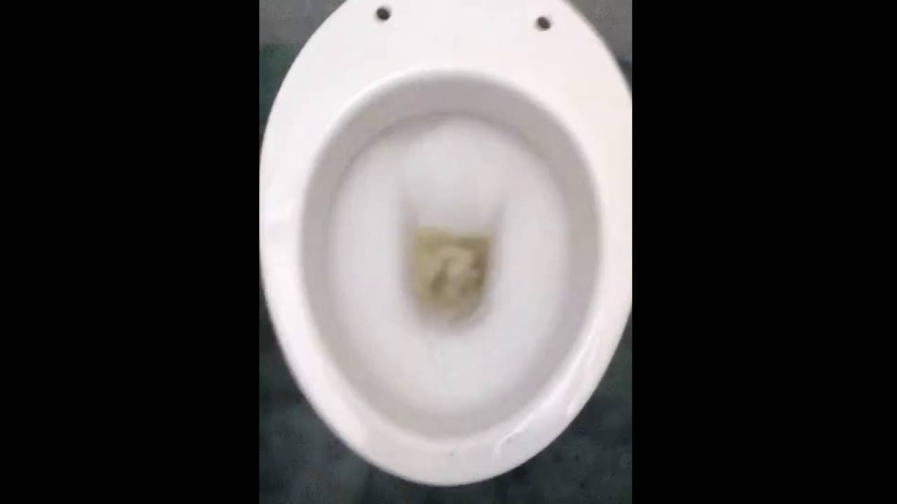 Cesso a scuola - YouTube