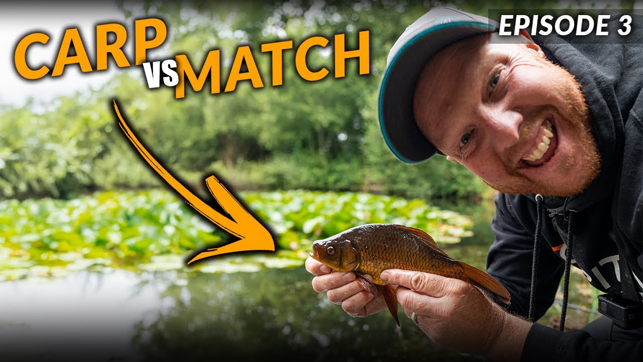 The ULTIMATE Fish Species Hunt! | Carp Anglers Vs Match Anglers #3 ...