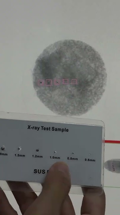 X-RAY Food Foreign Object Inspection Machine Instant Noodle Foreign Object Detection Equipment ...