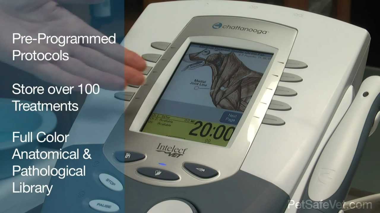Ultrasound & E-Stim Vet Therapy - YouTube