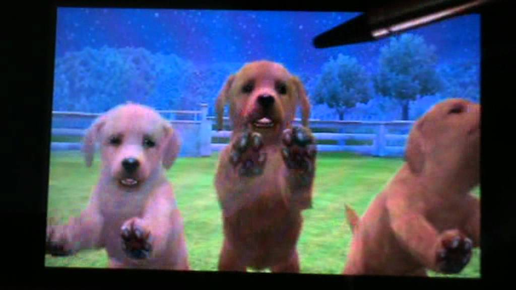nintendogs + cats special race les labradors - YouTube