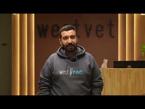 Yalancı Gebelik - Eren Murat Aktaş (Westvet Hayvan Hastanesi)