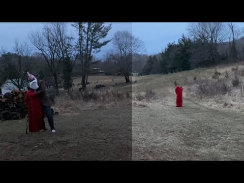 FINALLY! Mysterious Unknown Forest Creature UNMASKED Right In Front Of ...