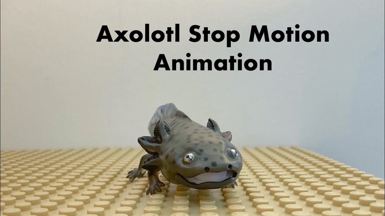 Axolotl Stop Motion Animation ⭐️ - YouTube